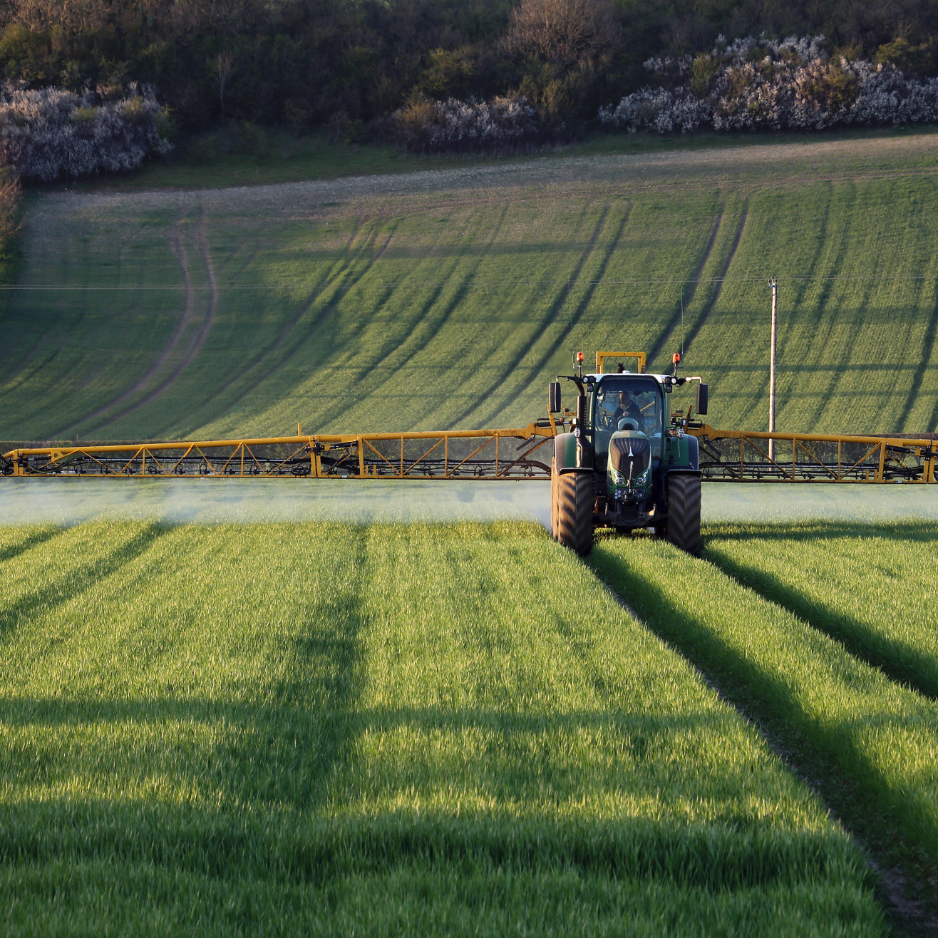 Projects – Dr. Wayne Caldwell